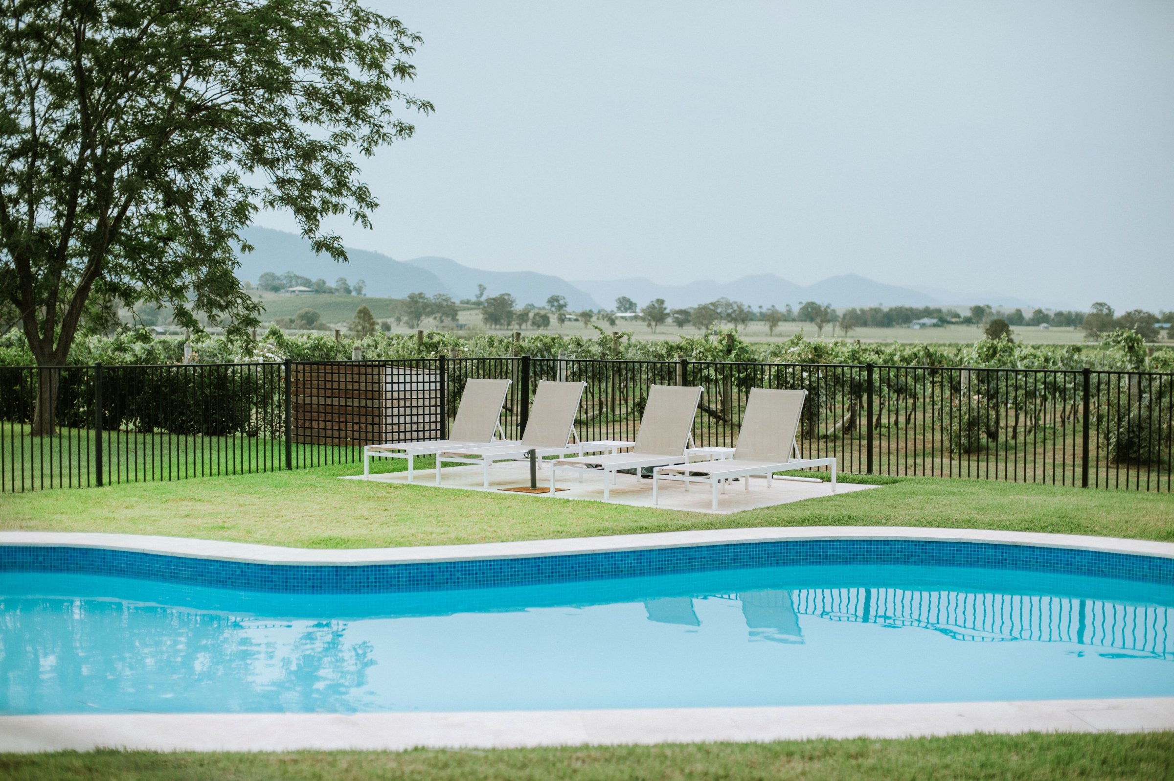 The Estate - Tinonee Vineyard Estate